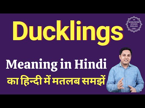 Ducklings meaning in Hindi | Ducklings ka matlab kya hota hai