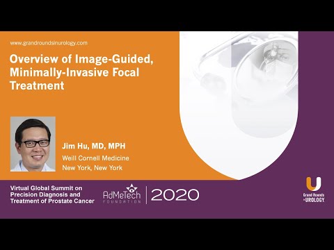 Overview of Image-Guided, Minimally-Invasive Focal Treatment