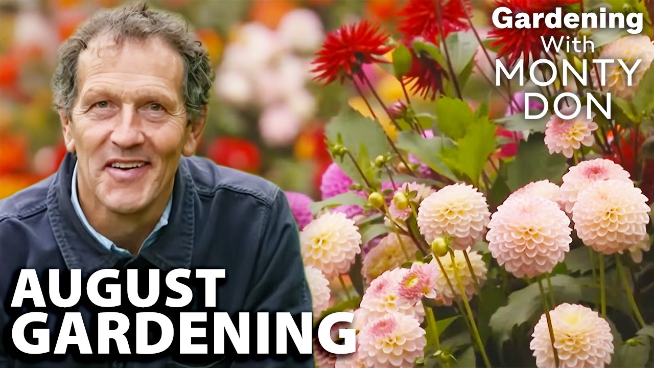 Easy Advice To Make Your Garden POP In August! | SEASON 2 | Gardener's World