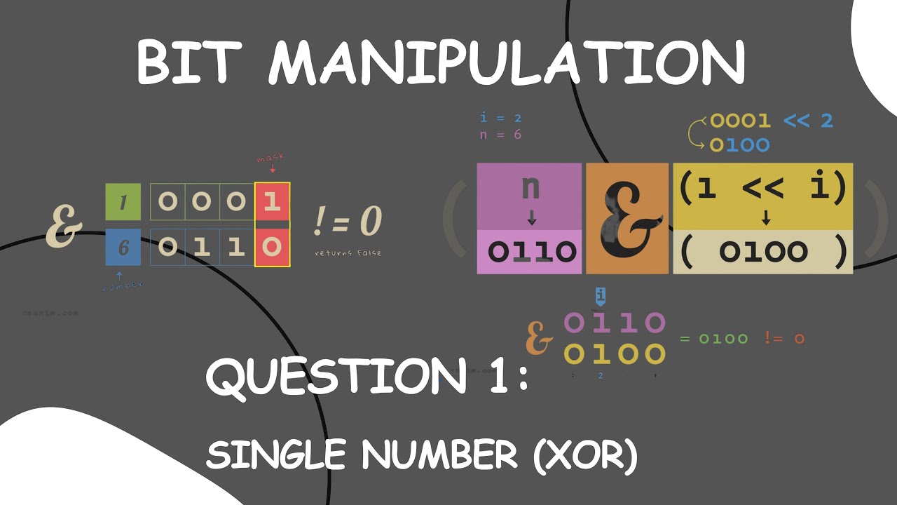 Questions 1 || Mastering XOR: Solving Single Integer DSA | Algorithm Explained