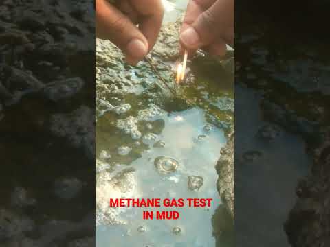 Marsh gas flame test.