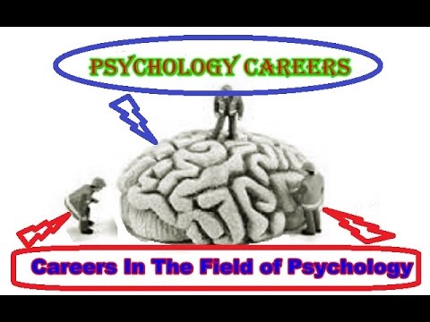 10 Best Psychology Careers - Psychology Careers / Online Universities