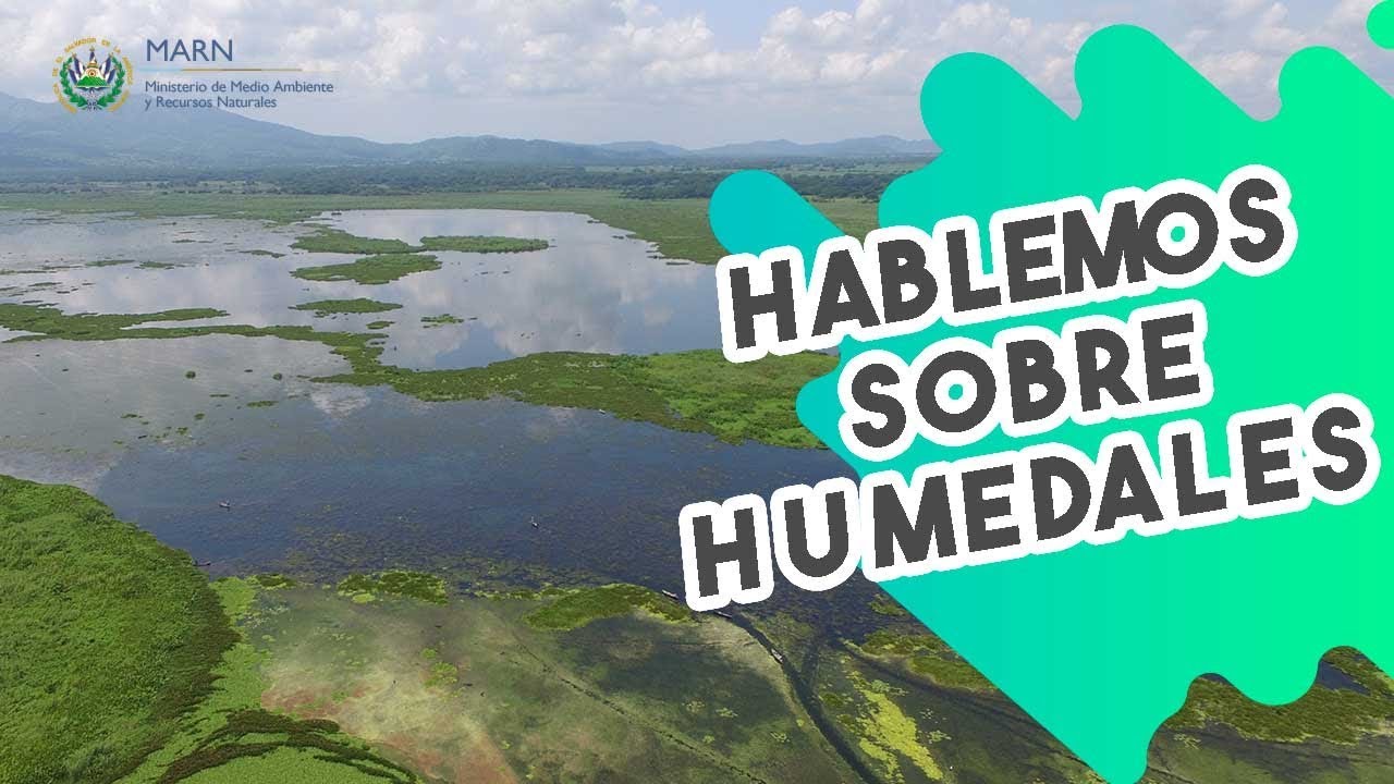 ¿Sabes que es un humedal?