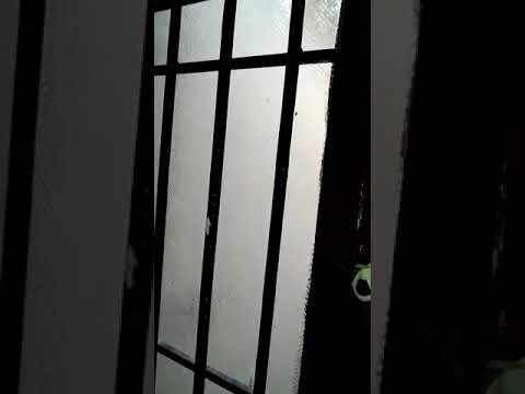 BIFLEX TC How to spray on wood and furniture (woodwork anti treatment)