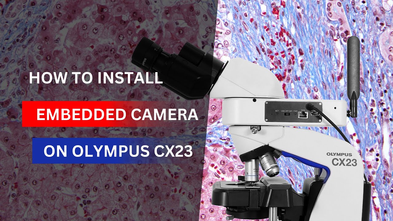 How to Install a Lanoptik Multi-output Embedded Camera on Olympus CX23 Microscope？