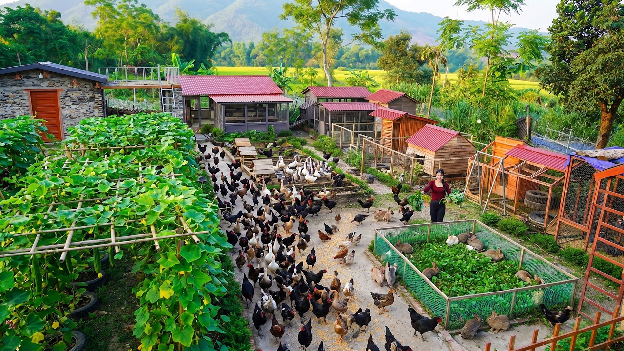 Full Video: 99 Days Building Farms & Raising Catfish, Turtles, Turkeys and Bamboo Rats