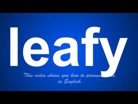 the correct pronunciation of leant in English.
