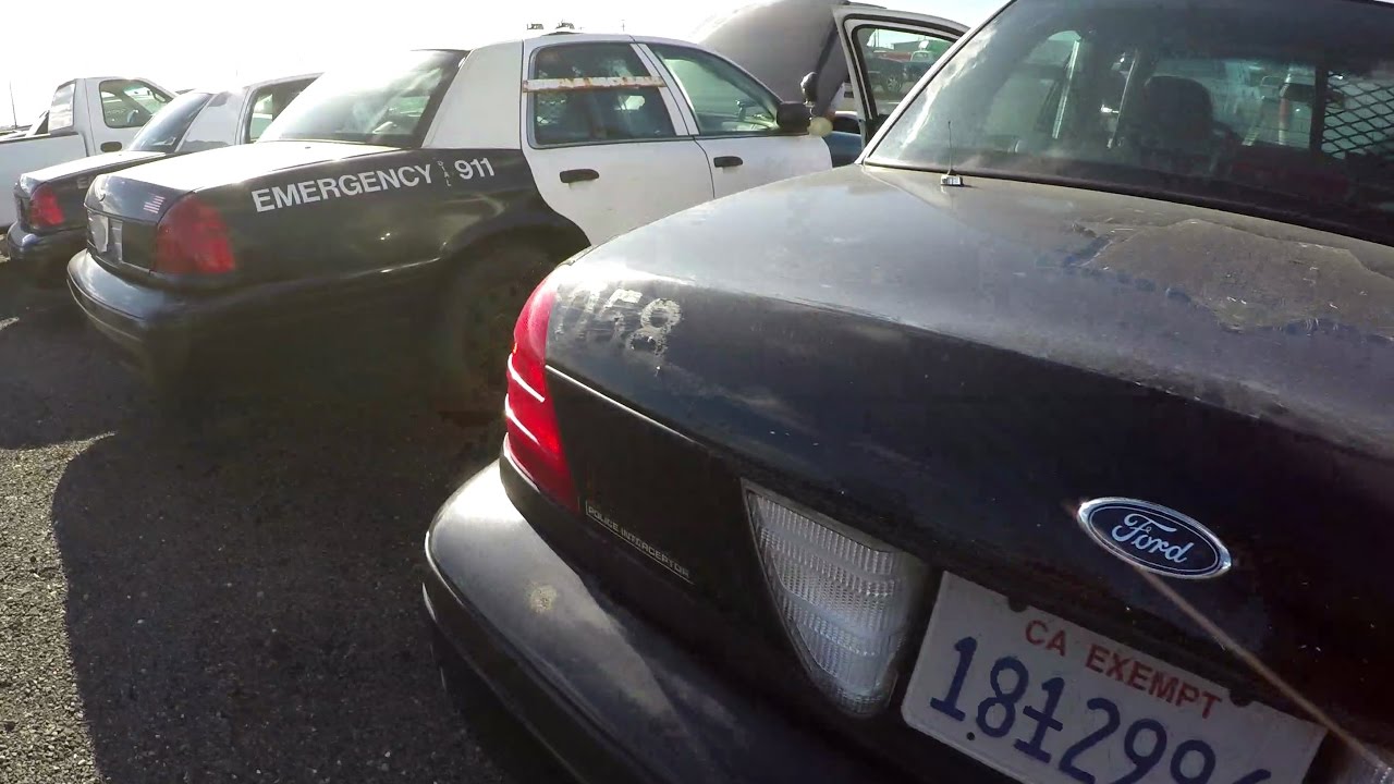 I Bought 8 Police Cruisers! Ford Crown Victoria Interceptors P71 Cop Car