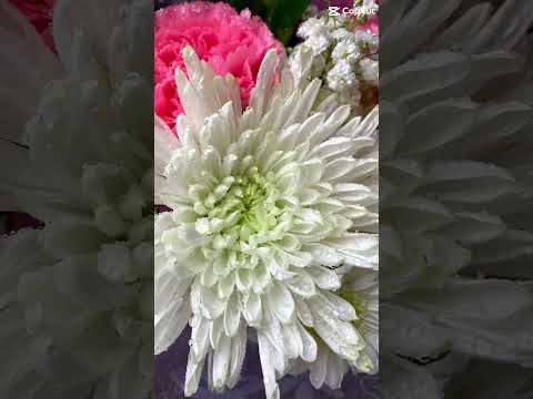 Beautiful Flowers with sparkle