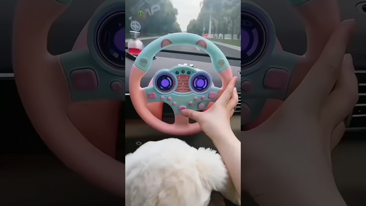 New cool gadgets 🤩 | smart appliances, kitchen tools #shorts #smartappliances #122