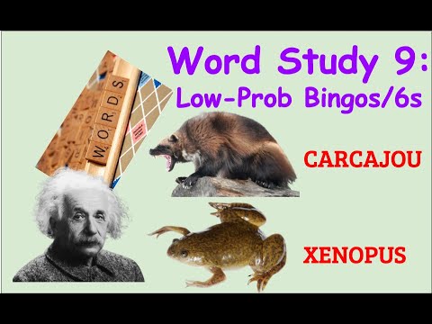 Word Study Part 9: Low-Prob Bingos and 6s