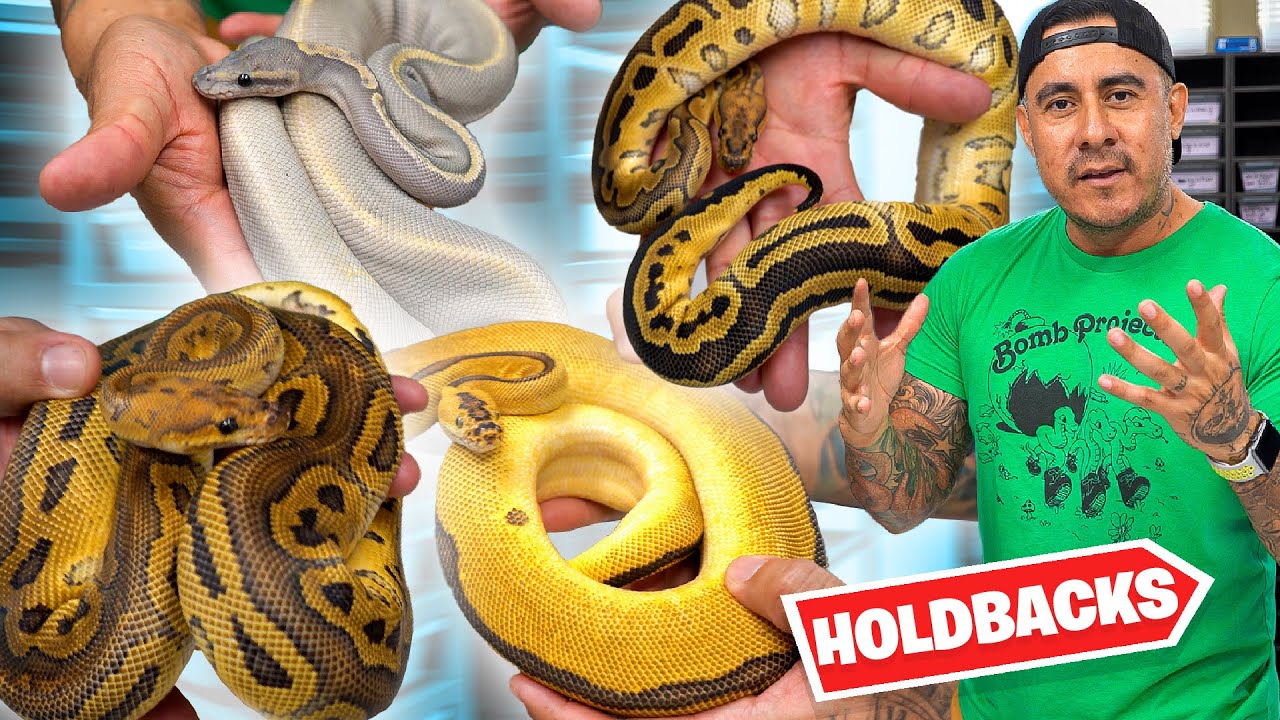 Holdbacks From Last Season 2021