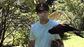 3 Best Places To See in Maple Ridge, BC - Expert Recommendations