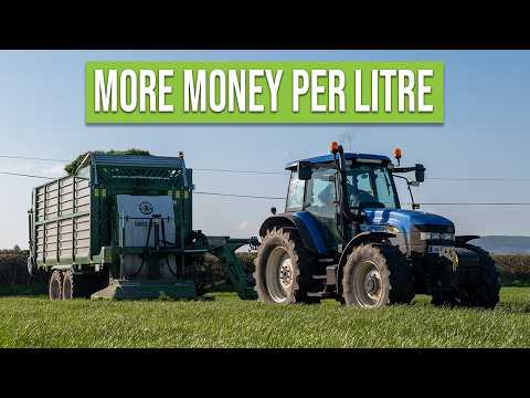 THE CHEAPEST WAY TO FEED COWS!!!
