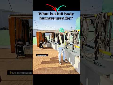 What is Full Body Harness. #views #works #yt #shorts #safety #fbh #civil #youtubeshorts #inspection
