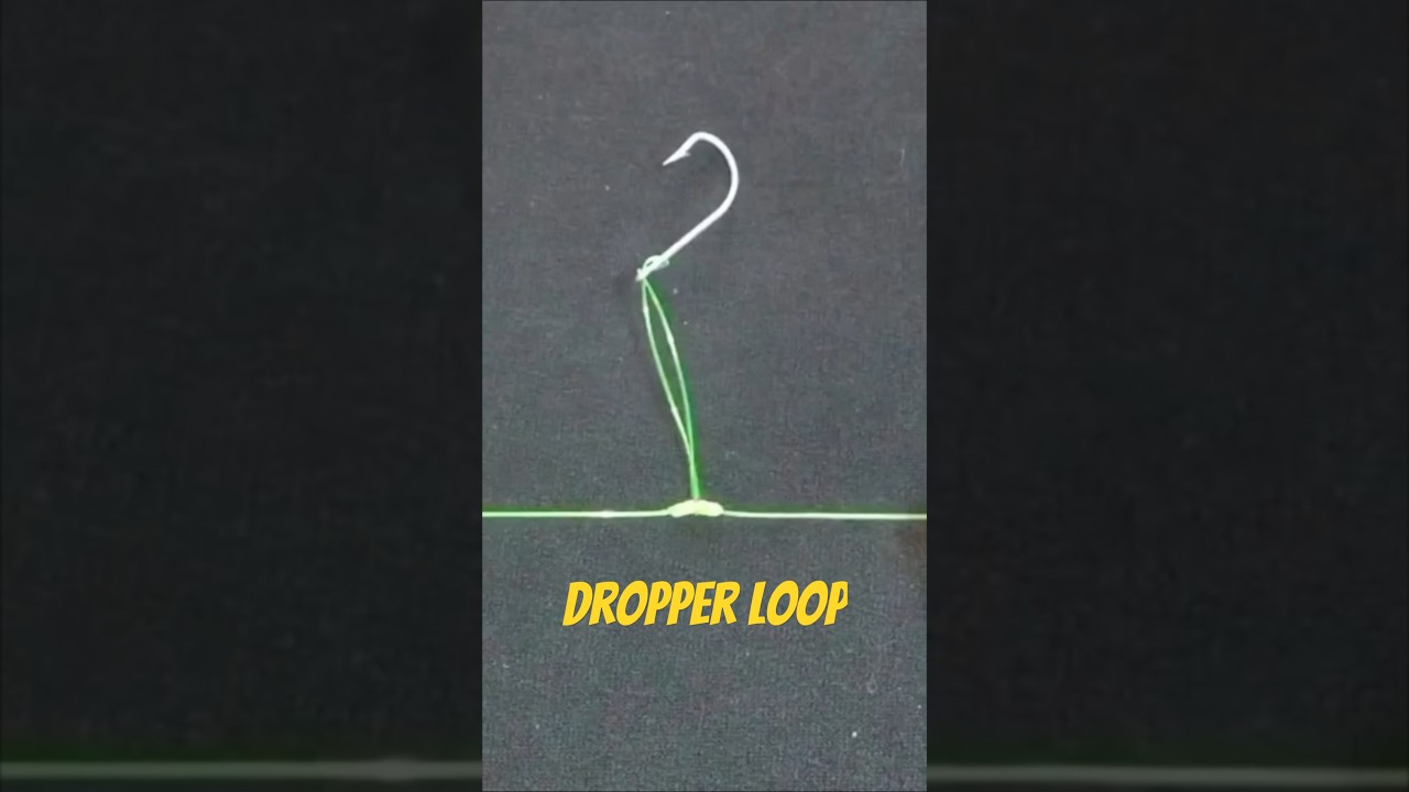 How to Tie a Dropper Loop Knot | Fast, Reliable & Easy Fishing Loop. #dropperloopknot #fishingknot
