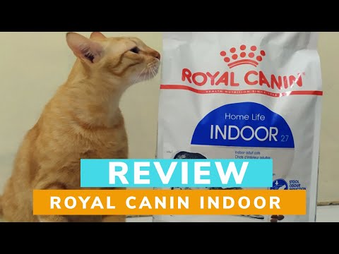 REVIEW ROYAL CANIN INDOOR CAT UNTUK KUCING RUMAHAN | MY CATS DIARY