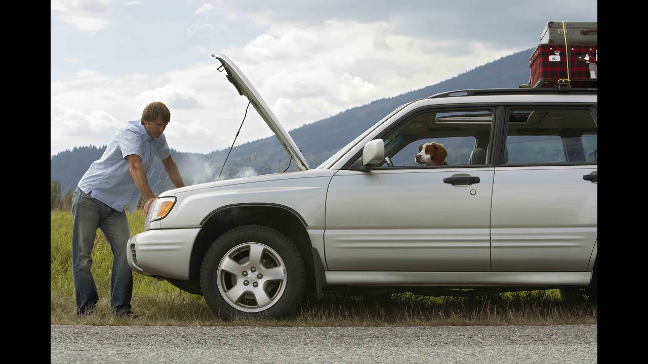 AAA Campaign – Phone Calls, 