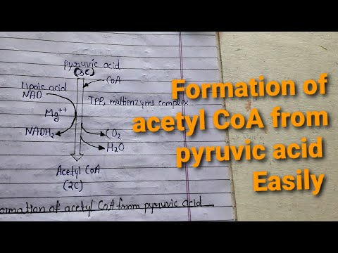 How to draw Formetion of acetyl CoA from pyruvic acid/ botany diagram very easy way step by step!!..