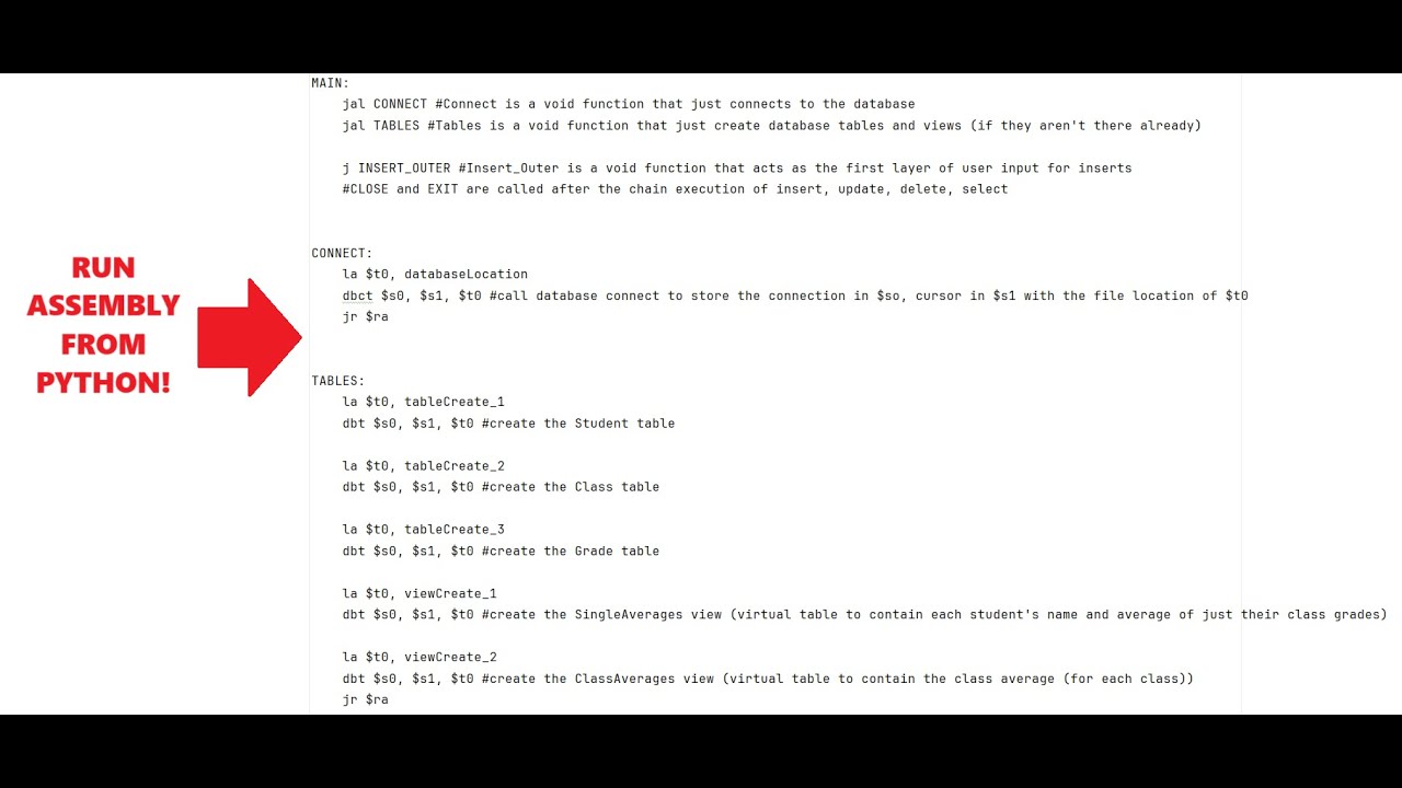 Custom MIPS Assembler in Python