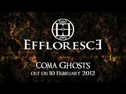 EFFLORESCE discography and reviews