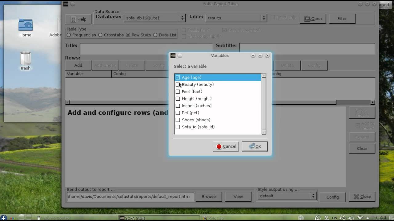 Calculating Basic Statistics with SOFA