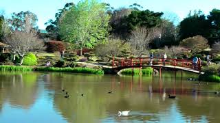 3 Best Places To Visit in Toowoomba QLD - Expert Recommendations