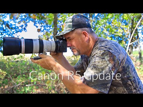 Canon R5: Autofocus problems & solution (4147C002)