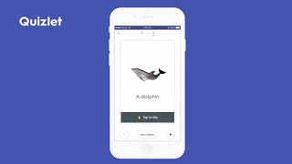 Quizlet - Features, Reviews & Pricing (December 2025)