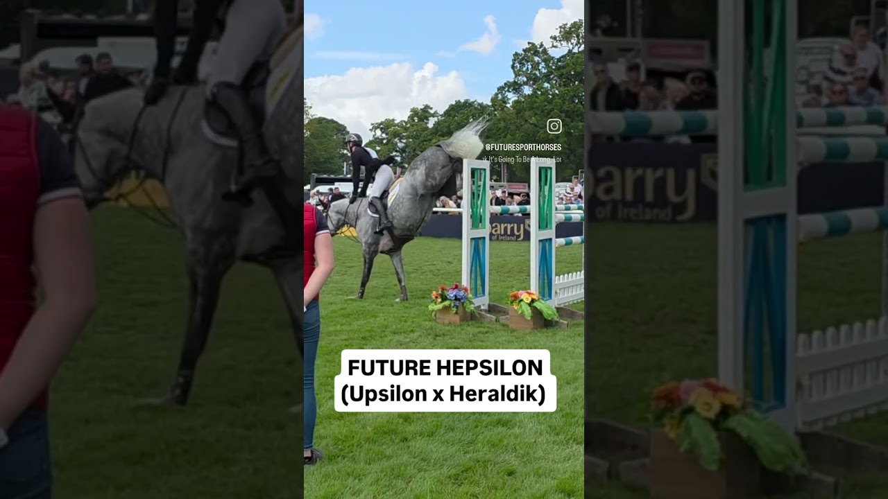 FUTURE HEPSILON (Upsilon x Heraldik) AVAILABLE WORLDWIDE. Genetics of NC Gold Medallist & WBFSH #1