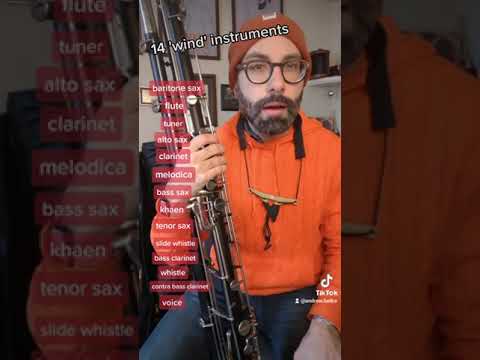 14 wind instruments play A #shorts