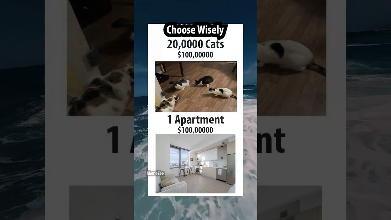 Choose wisely