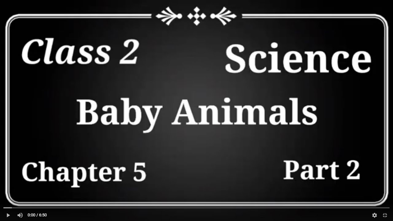 Baby Animals || Class 2 || Science || Chapter 5 || Part 2 || Target 95+ Series ||