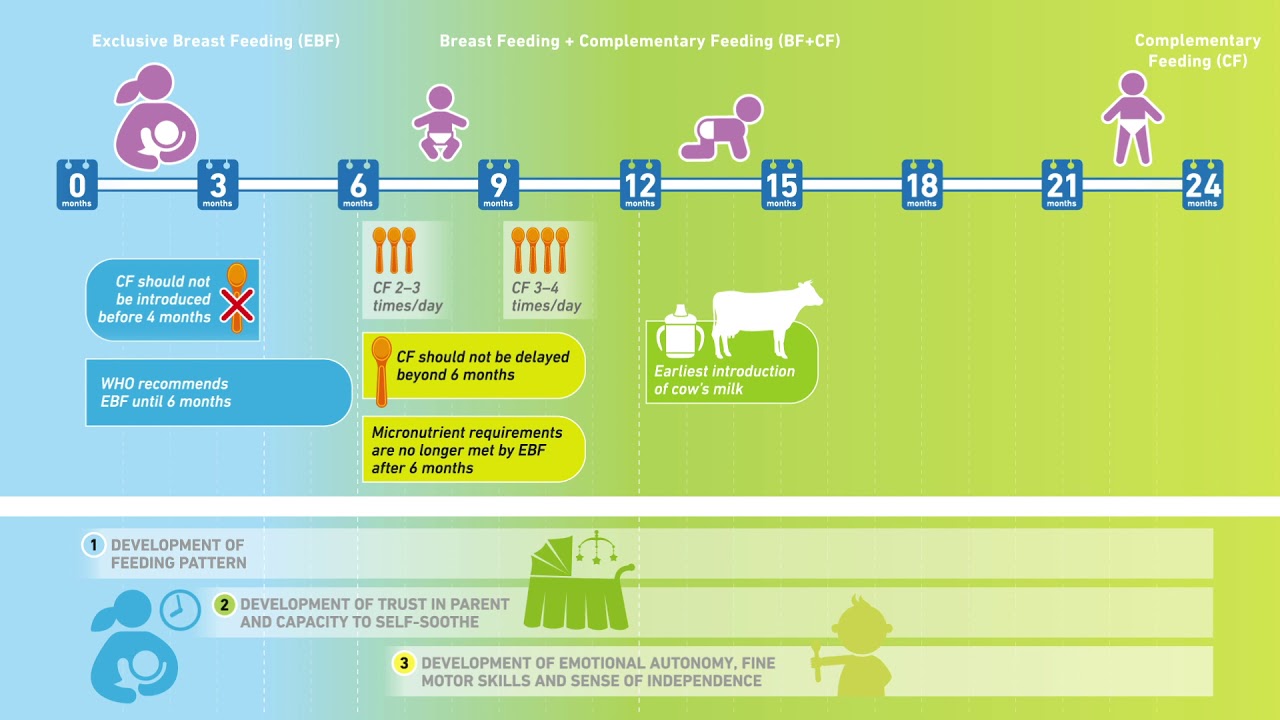 Complementary Feeding: What is the appropriate introduction?
