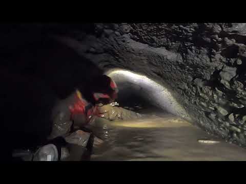 Here’s What Romans Ate at the Colosseum 2,000 Years Ago