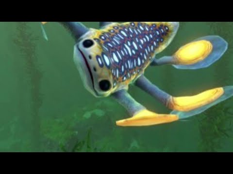 Steam Community :: Video :: Hoverfish vibing
