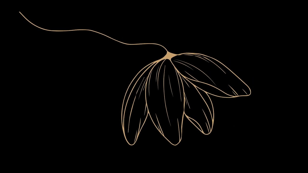 BROWN LEAF VECTOR 10 (Compositing Videos Alpha)