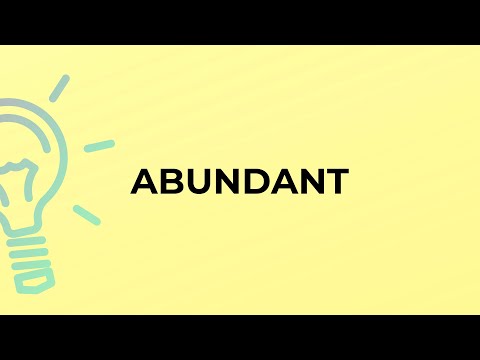 What is the meaning of the word ABUNDANT?