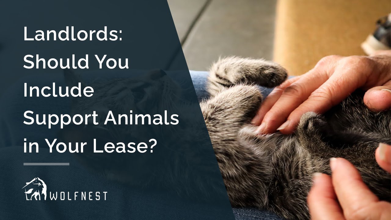 Landlords: Should You Include Support Animals in Your Lease