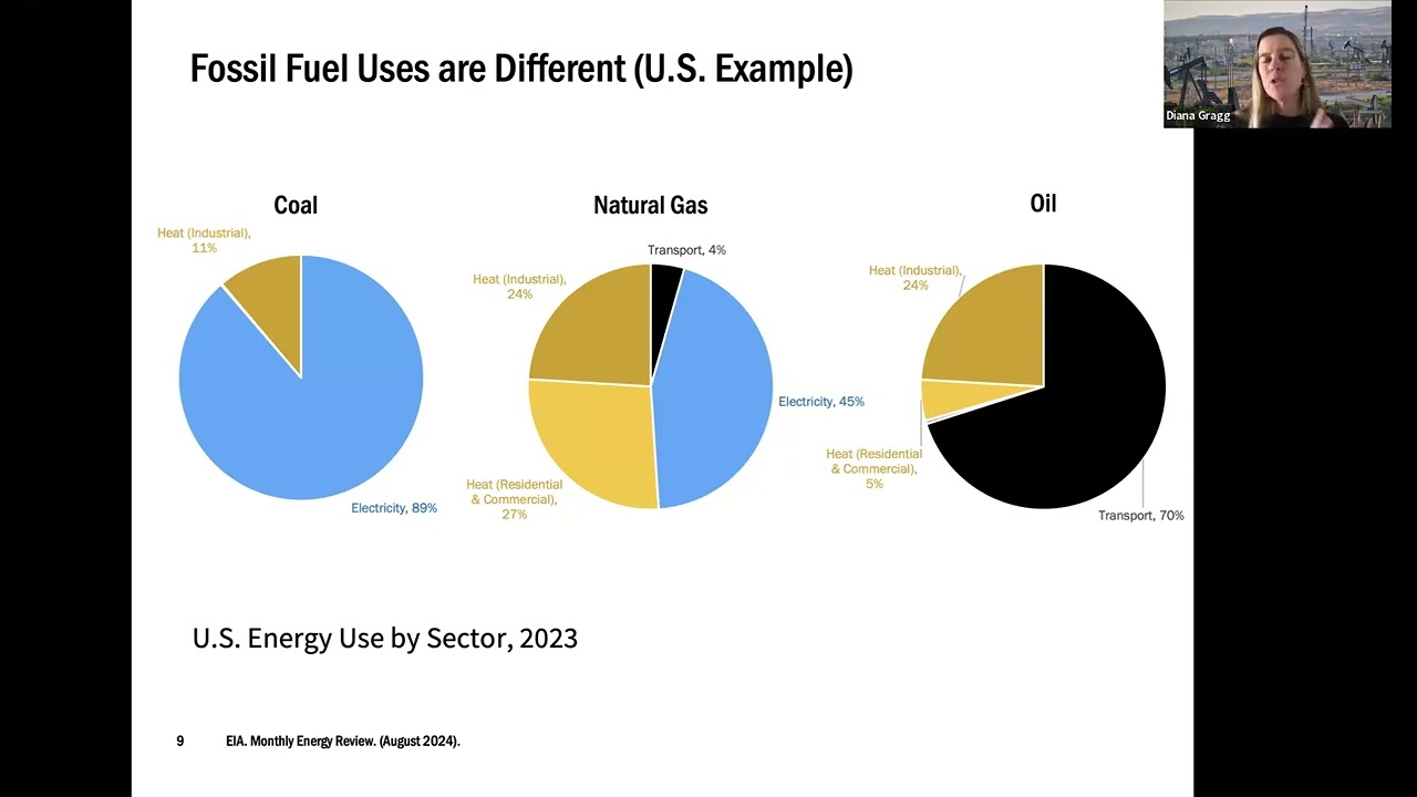 Introduction to Fossil Fuels 10-Minute Take | Diana Gragg | Stanford Understand Energy