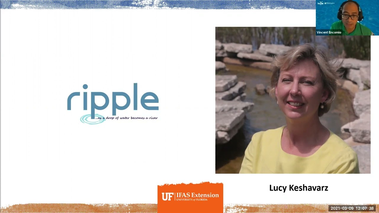 The Ripple Project