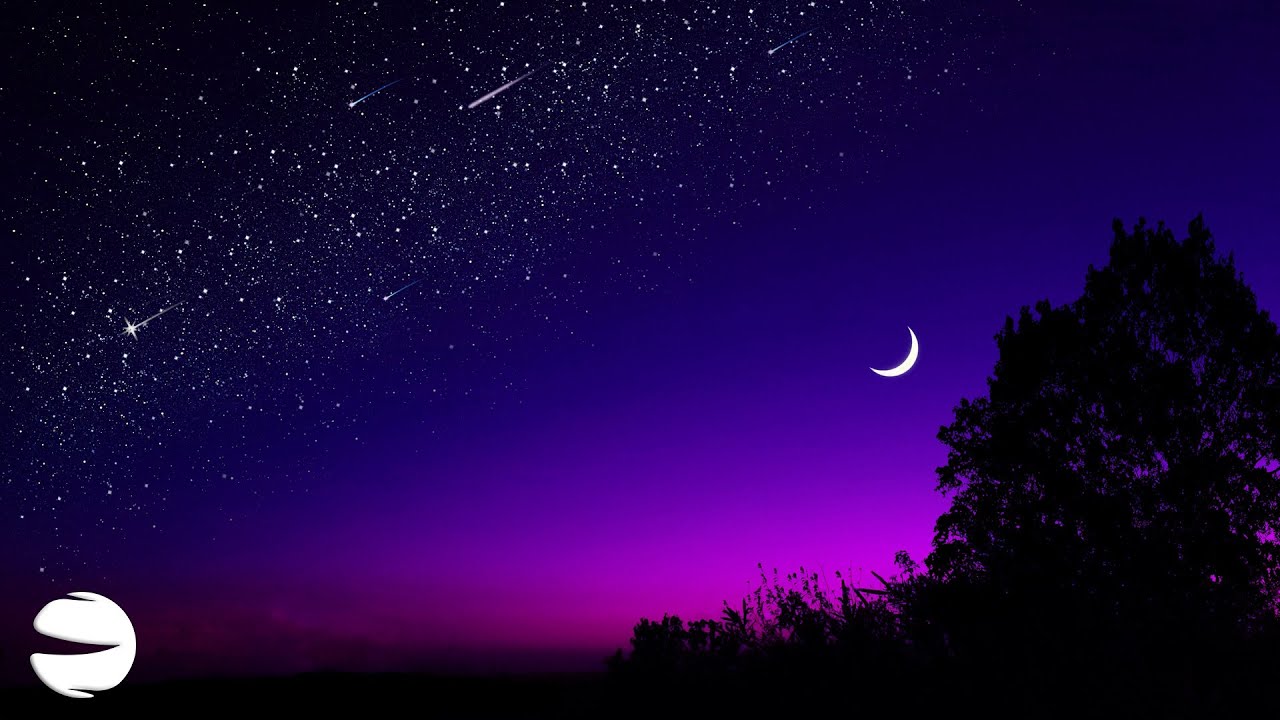 Misc - Happiness | Synire Release