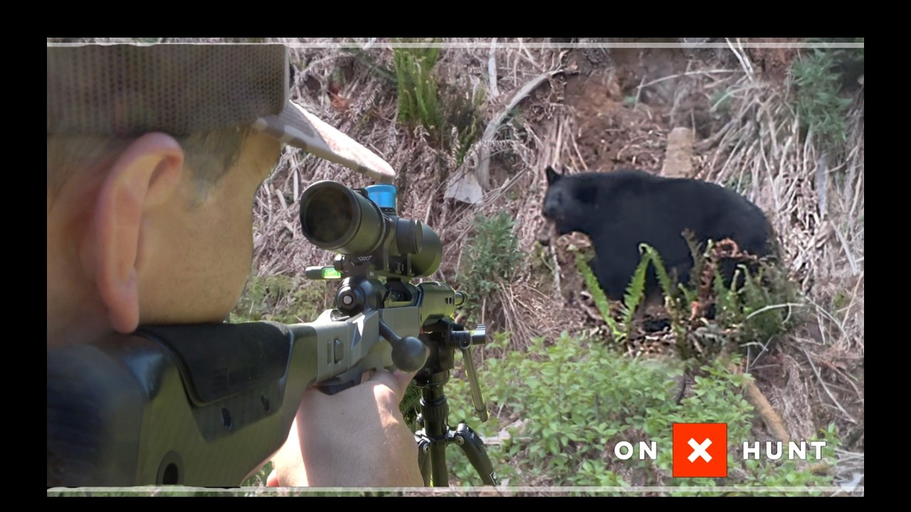 Oregon Spring Bear Hunt - 6.5 PRC strikes again!
