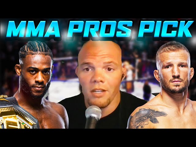 UFC bantamweight champion Aljamain Sterling trolls T.J. Dillashaw ahead ...