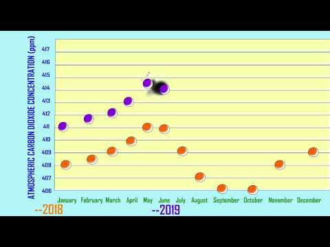 2019-2020 carbon dioxide levels in atmosphere