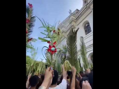 Celebrating Palm Sunday #shorts #palmsunday #easter #catholic #christian #beliefs #tradition #church
