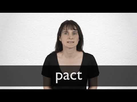 PACT definition and meaning | Collins English Dictionary