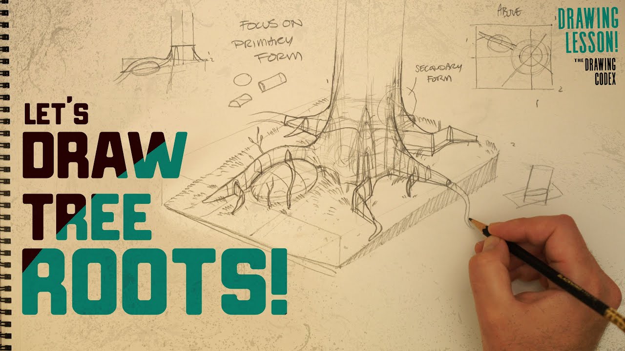 Learn to Draw Tree Roots!  |  Level up your Fundamentals - Comics & Illustration