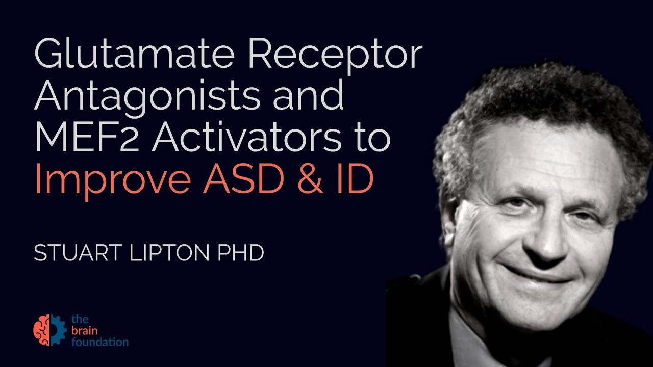 Glutamate Receptor Antagonists & MEF2 Activators to Improve ASD - Stuart Lipton PhD, Synchrony 2023