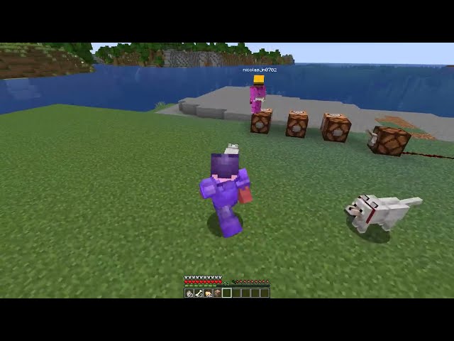 Slightly Buffed Dog (BuffedDog) Minecraft Mod